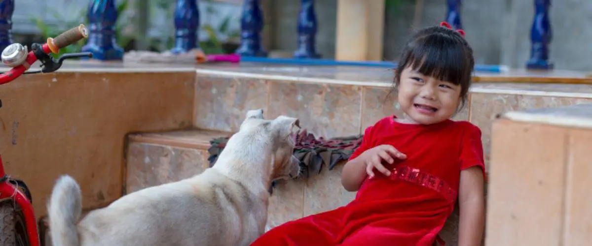 ¿Por qué el perro ataca a los niños? No siempre es culpa de Fido. 🥇 ...