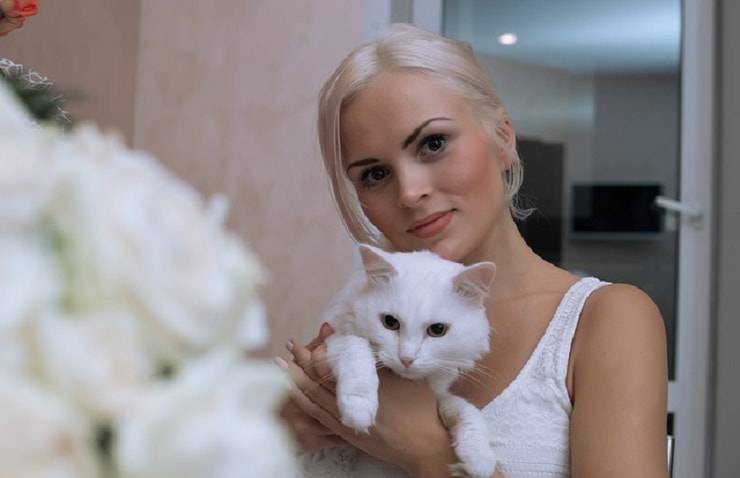 ¿El gato me ama? 10 comportamientos para saber si te está expresando ...