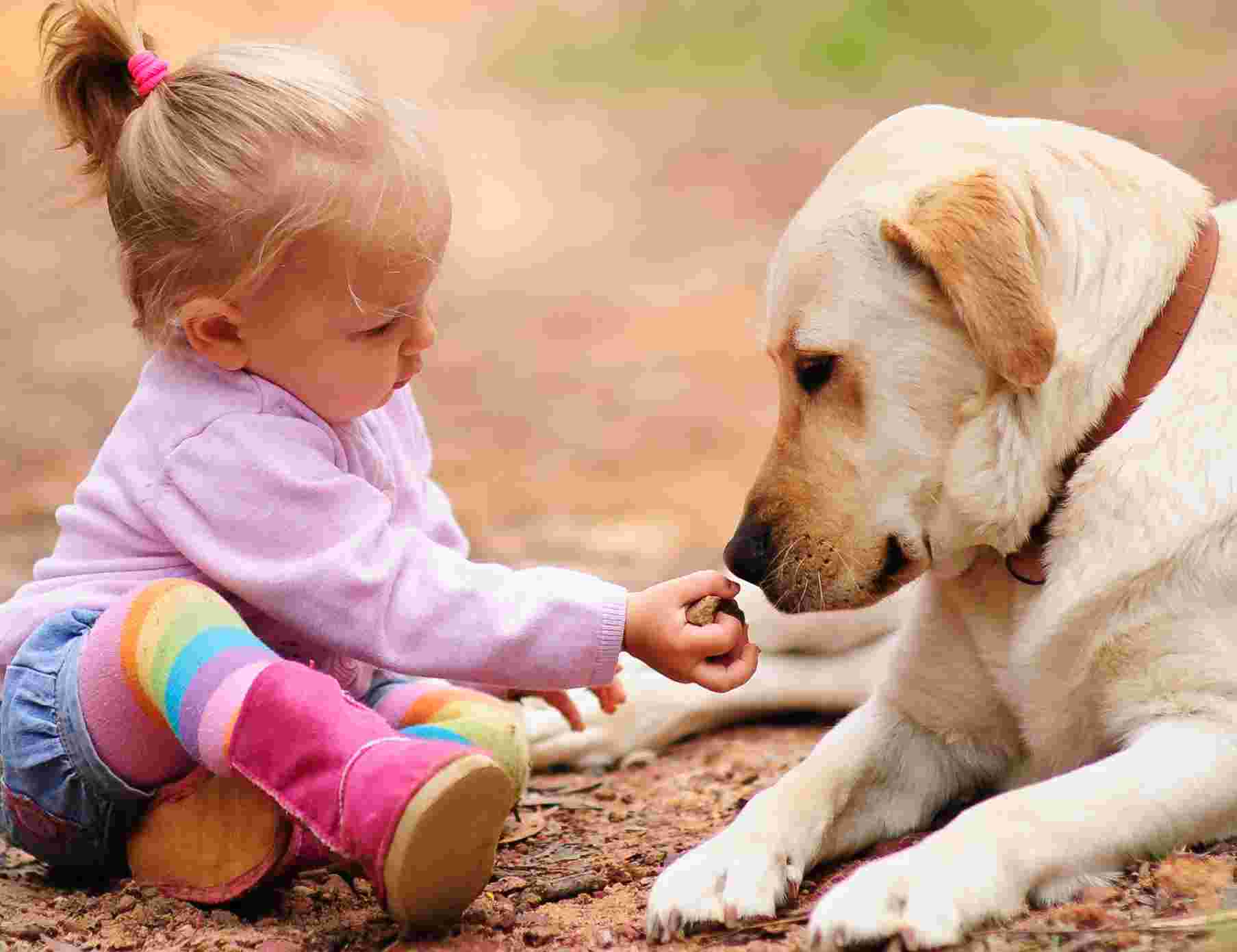 Animales y niños: lo que hay que saber antes de llevar un perro o un ...