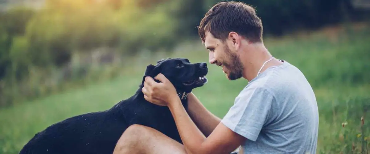 La relación y la comunicación perro-humano pasa solo por el amor ️ Vida ...