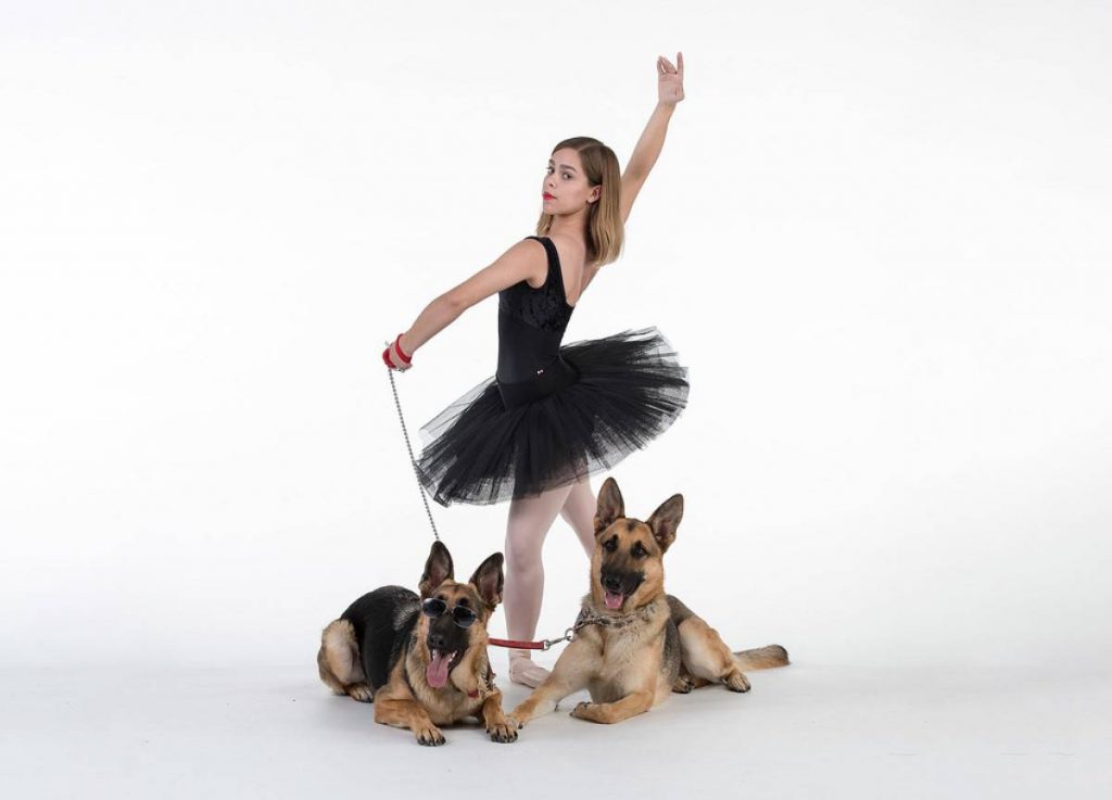 Dog dance: bailar con el perro es el juego más fuerte del momento con ...