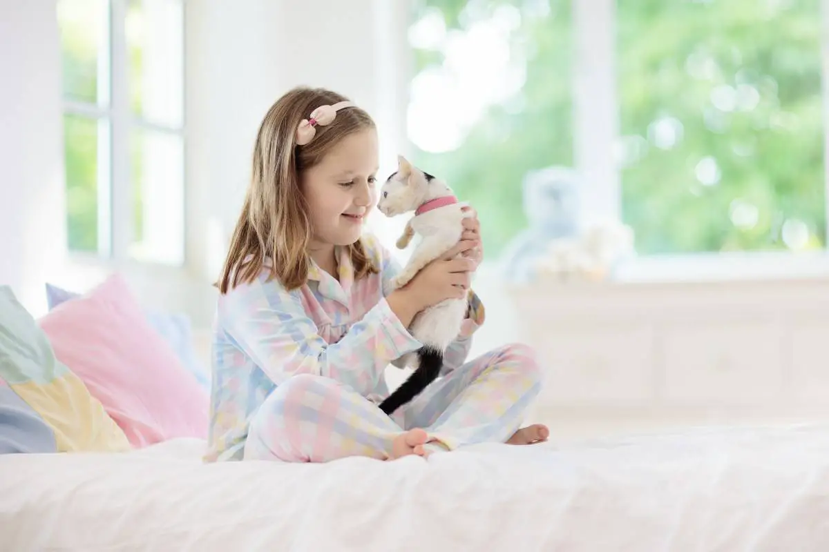 Los beneficios de tener un gato: como los gatos mejoran nuestras vidas ...