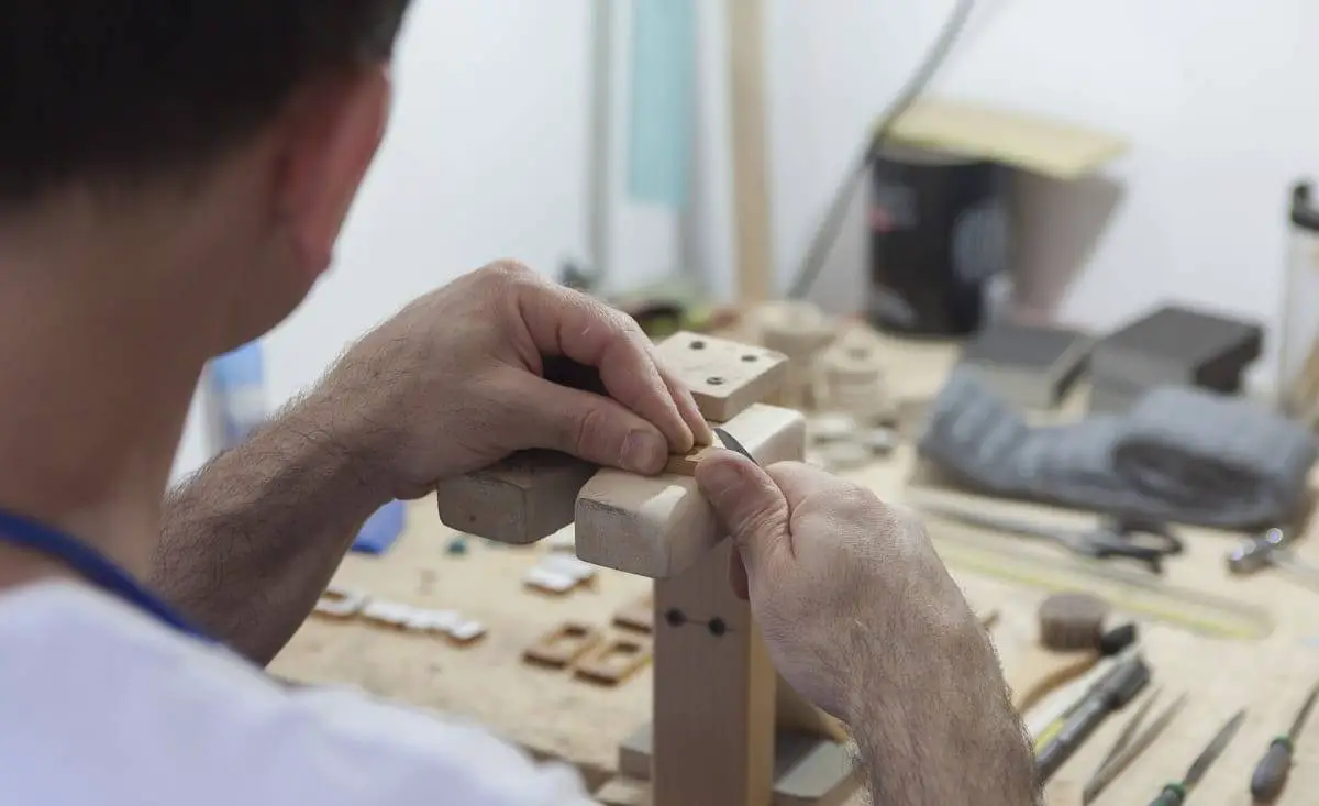 Construir una ratonera no cruel es fácil y barato - Vida con Mascotas ️