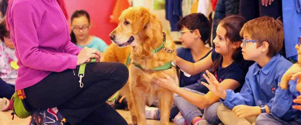Terapia con mascotas: los perros de apoyo llegan a las escuelas ️ Vida ...