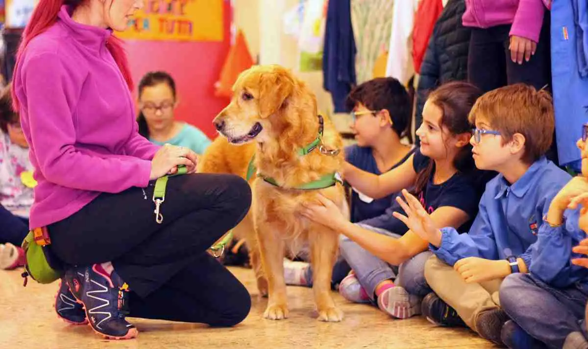 Terapia con mascotas: los perros de apoyo llegan a las escuelas - Vida ...