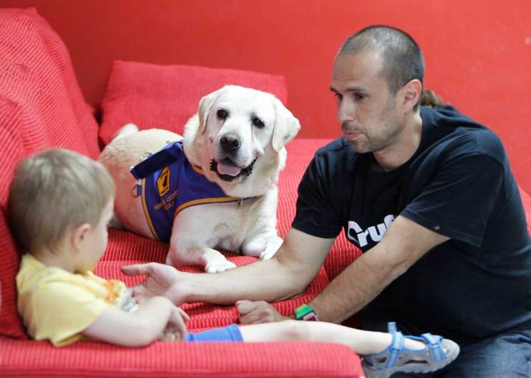 Mariscal: del adiestrador al educador de perros a través del refuerzo ...