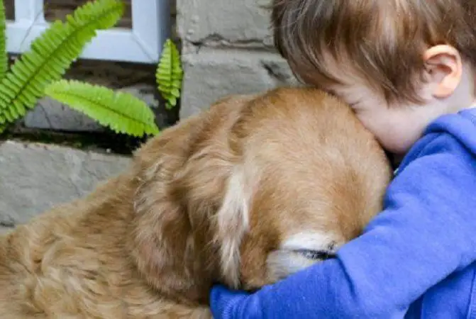 Luto por la muerte del perro - Vida con Mascotas ️