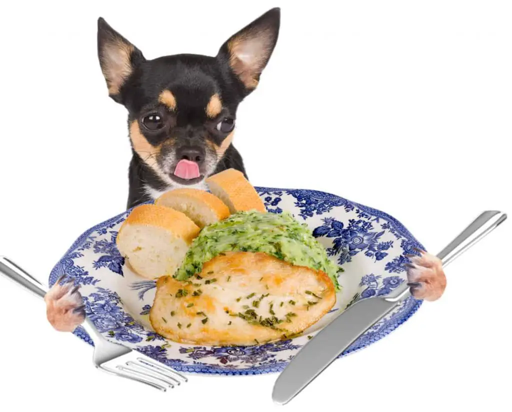 Nuggets de pollo para perros: una receta deliciosa para cada temporada ...