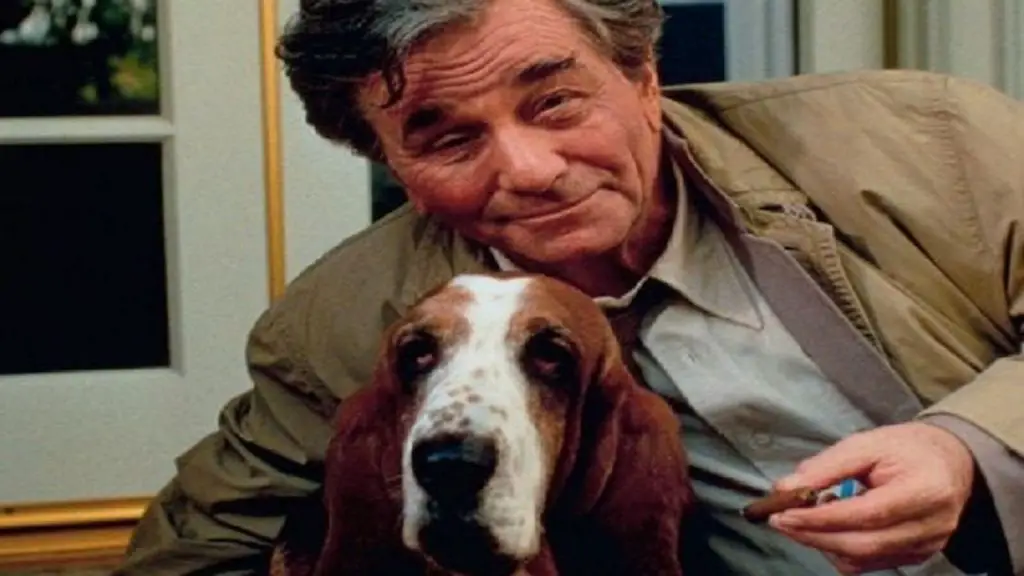 Perro de Colón: nombre, raza, características y curiosidades - Vida con ...