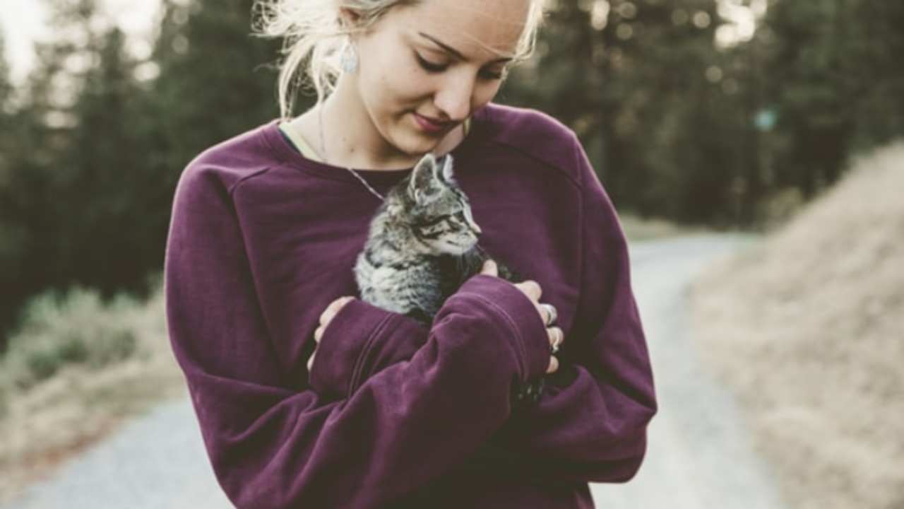 5 tipos de relaciones entre el gato y su humano: lo que dice la ciencia ...