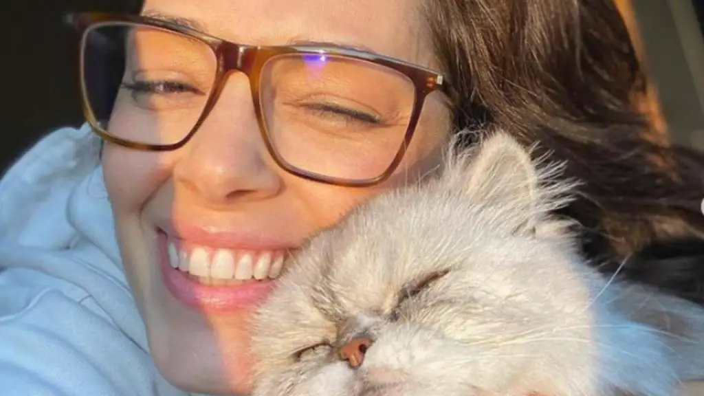 Giorgia Surina: quién es su gato y todas las curiosidades sobre él - Vida con Mascotas ️