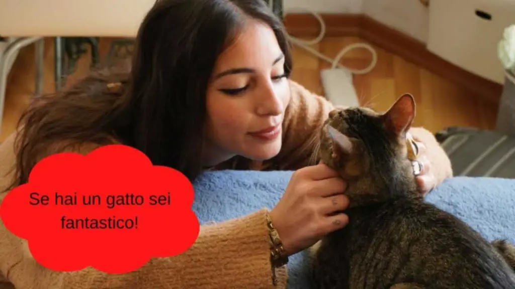 Las personas que tienen gatos son geniales, dice la ciencia - Vida con ...