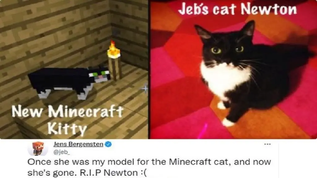 Gato de Minecraft: nombre, raza, características y curiosidades - Vida ...