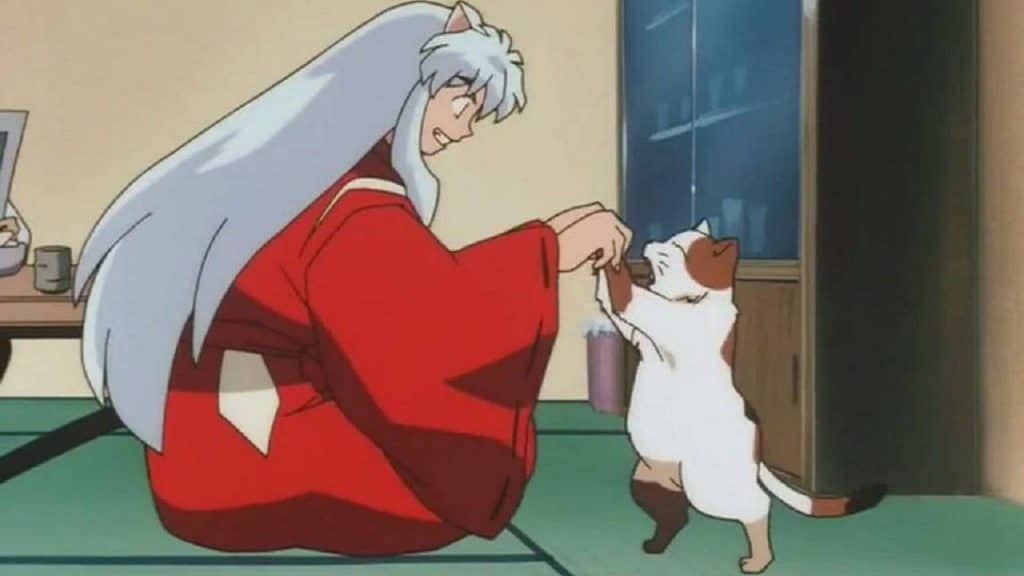 Gatos Inuyasha: nombres, razas, características y curiosidades - Vida ...