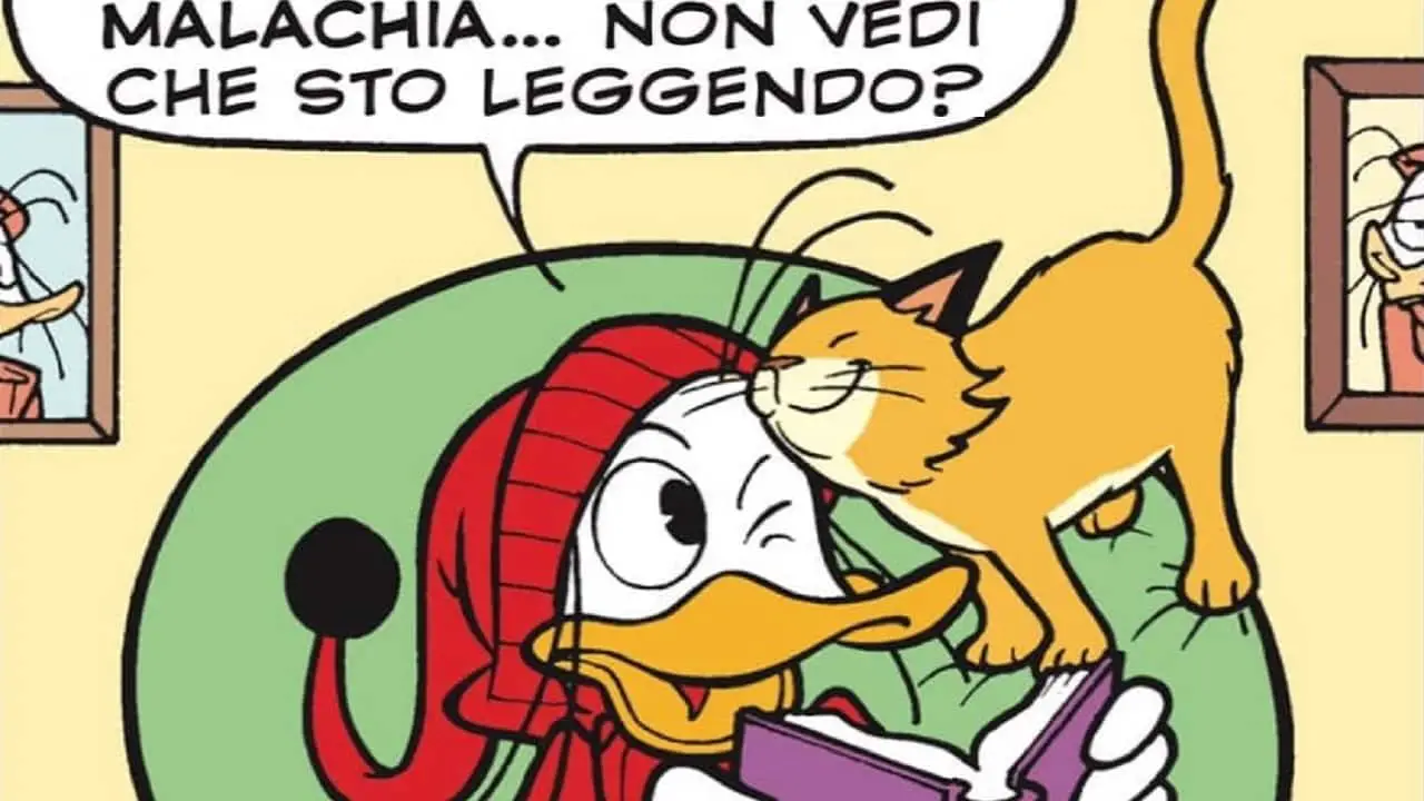 El gato de Donald: nombre, raza, características y curiosidades - Vida ...