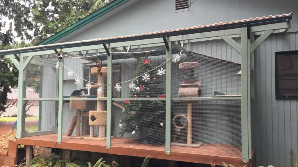 Cómo hacer un catio externo para el gato: ideas y fotos. - Vida con ...