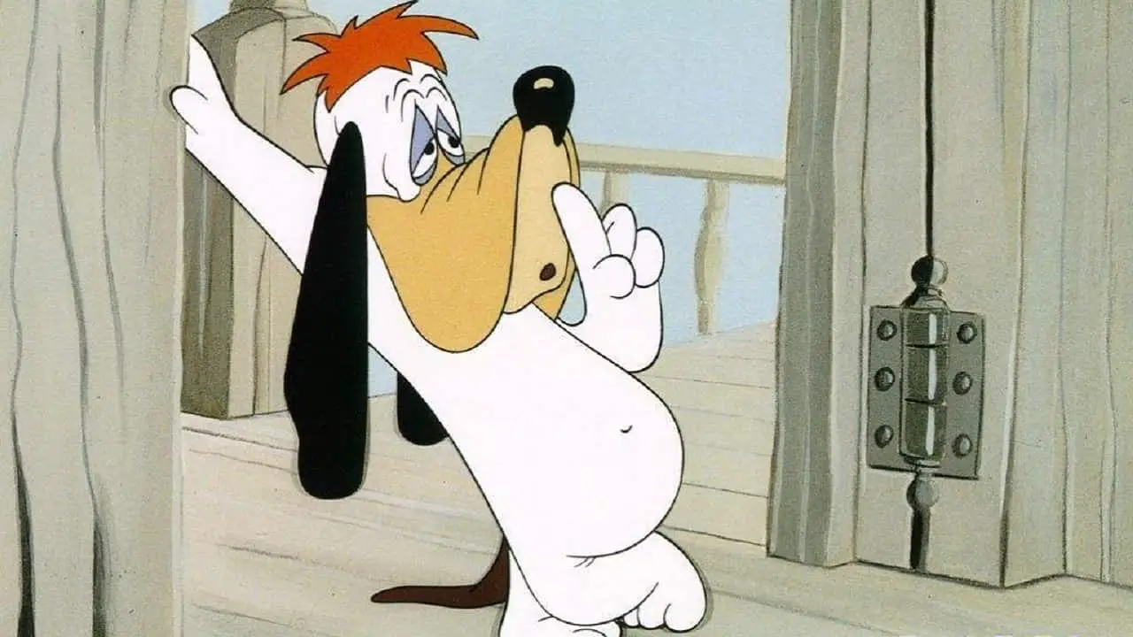 Perro caído: nombre, raza, características y curiosidades - Vida con ...