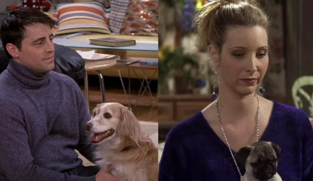 Perros de Friends (serie de TV): nombres, historias, curiosidades y ...