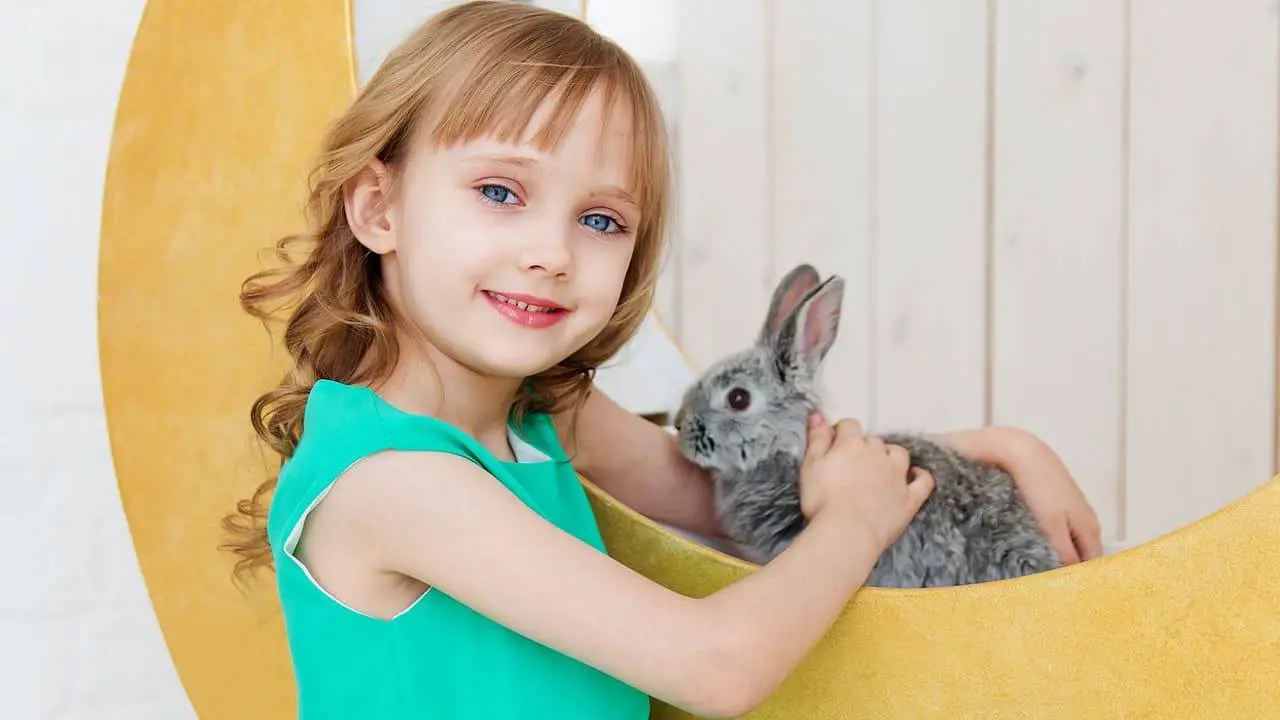 Día Internacional del Conejo 2021: qué es y cómo celebrarlo - Vida con ...