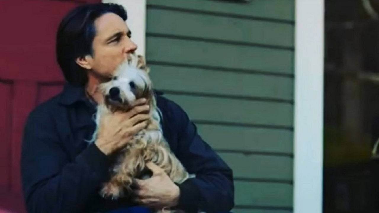 Virgin River Dog (Serie de Televisión): nombre, raza, historia y ...