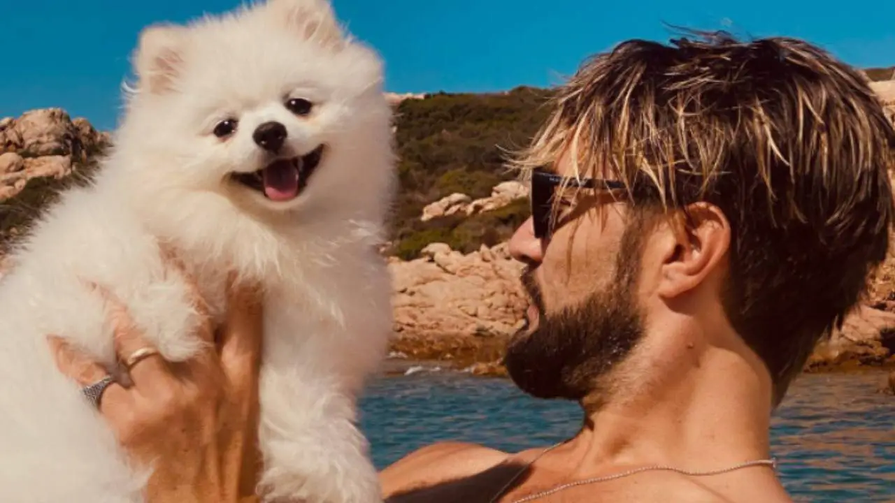 Alex Belli: quién es su perra Bella y todas las curiosidades sobre ella ...