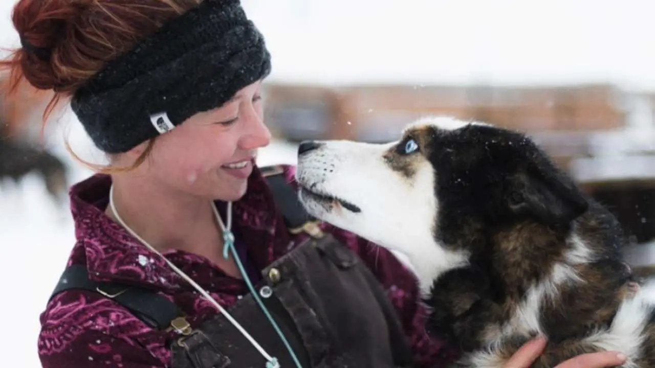 ¿Por qué el perro huele tu aliento? Las razones son realmente ...
