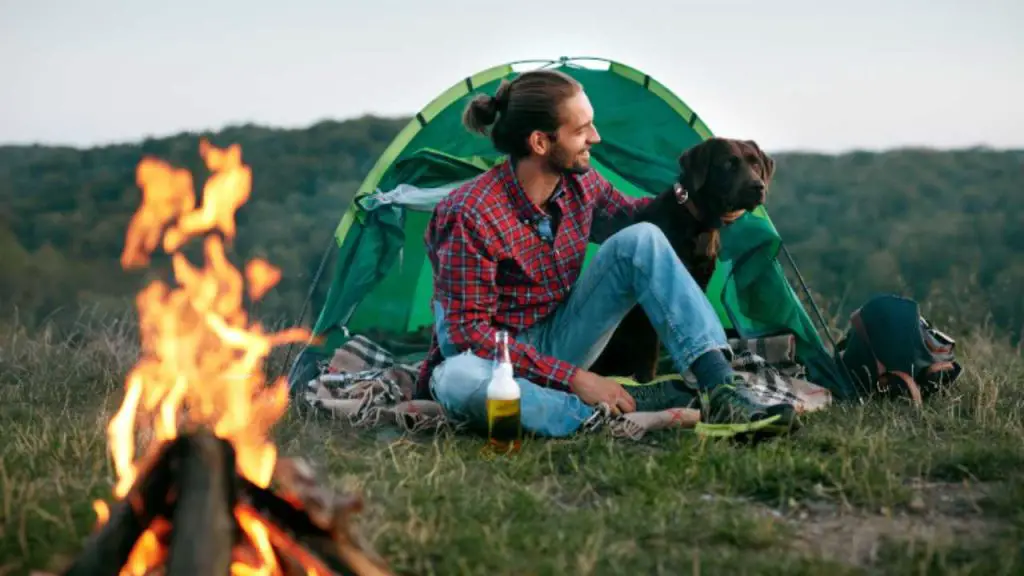 ¿El perro entiende si estamos borrachos? Todo lo que necesitas saber ...
