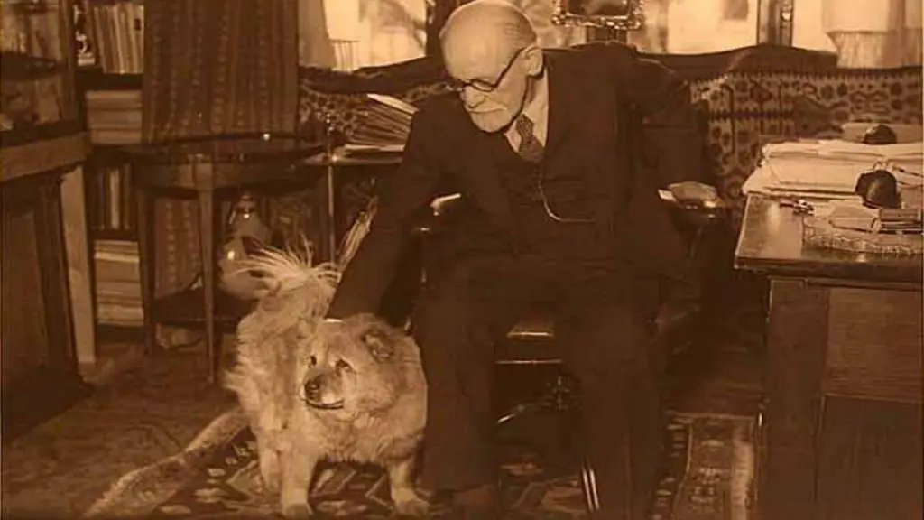 La curiosa historia de Jofi, el perro ayudante de Freud - Vida con ...
