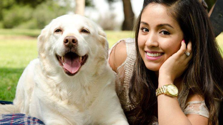 ¿Los perros y los humanos se contagian entre sí cuando se trata del ...