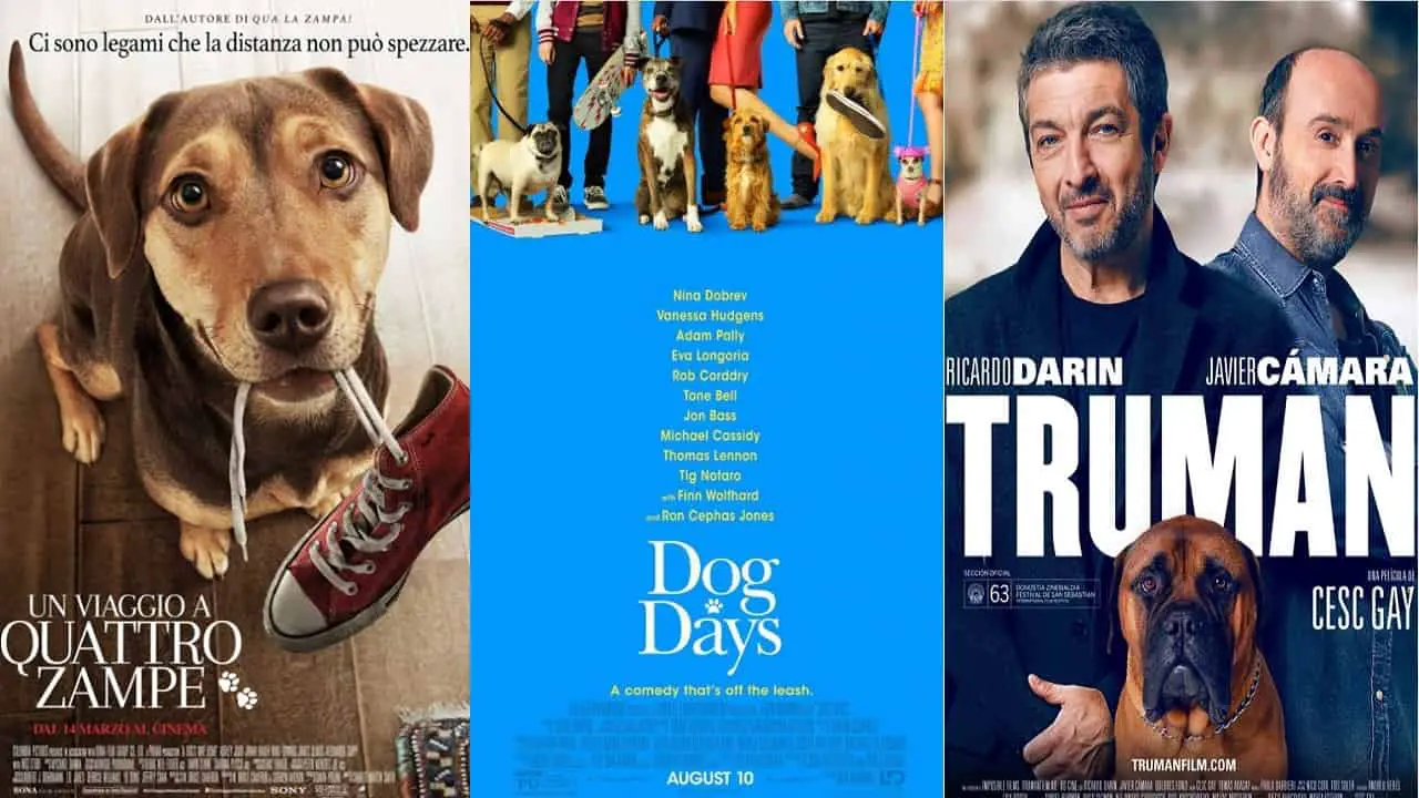 Las 10 películas con perros que (quizás) no conoces pero que ...